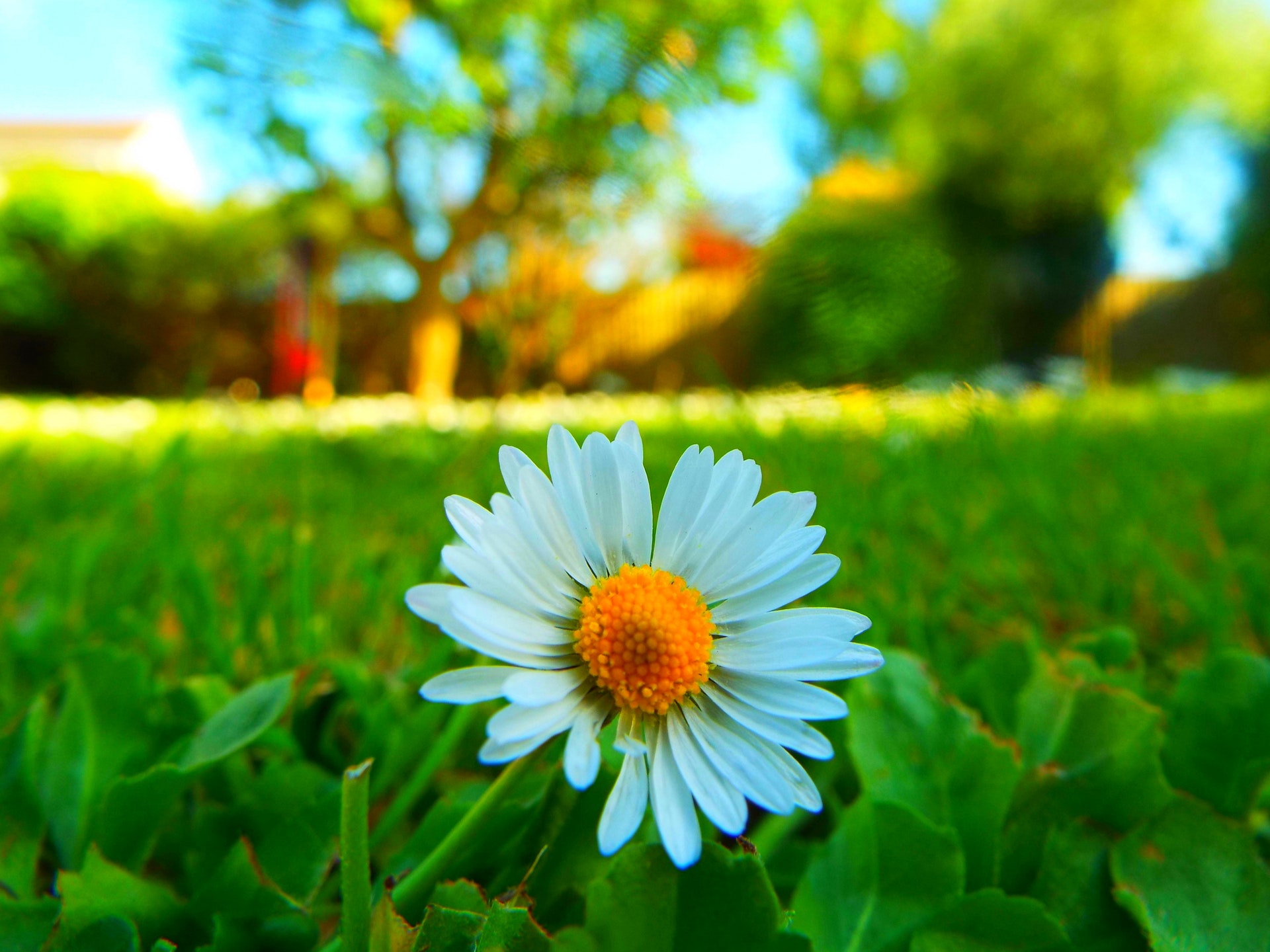 Spruce up for Spring: 5 DIY home fix Ups